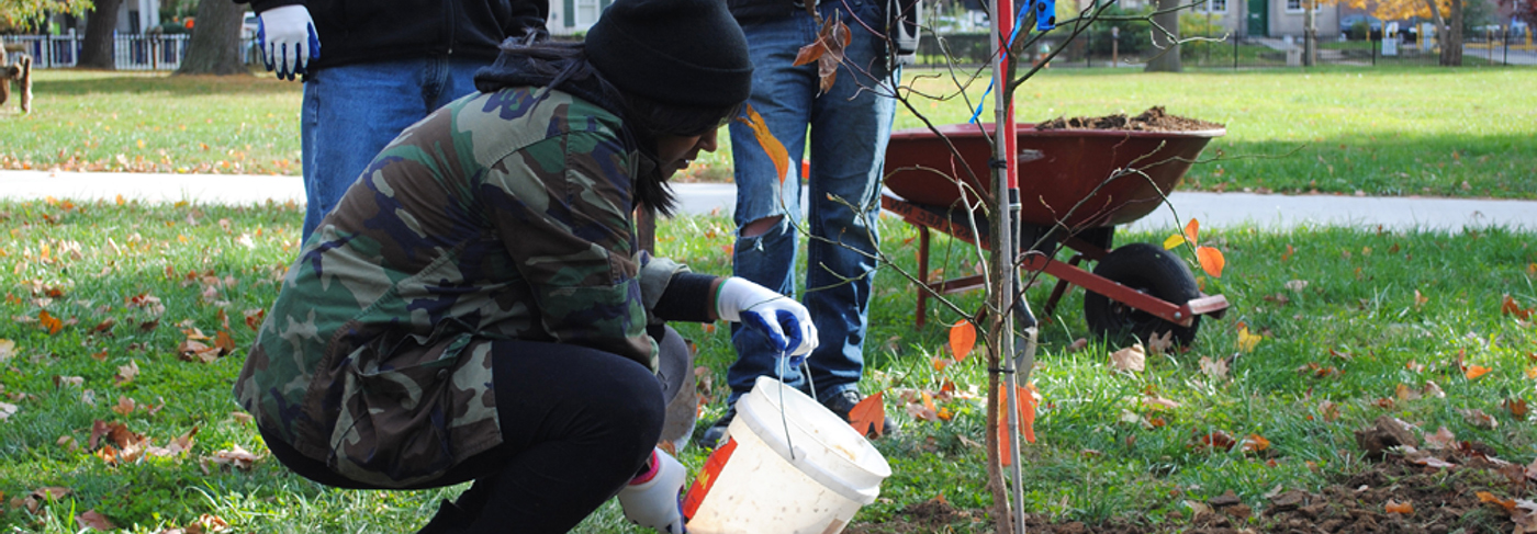 Earth Day Spotlight: PIDC Projects Contributing to Sustainability - PIDC